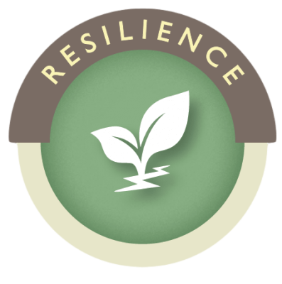 Human Development is Fundamental to Thriving | Roots of Action